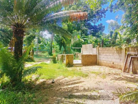 New Asia Golf And Spa Resort [27,778 Properties] (October 2025) on ...