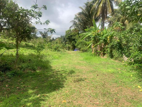 Foreclosed Farm Lot For Sale Philippines [669 Properties] (November ...