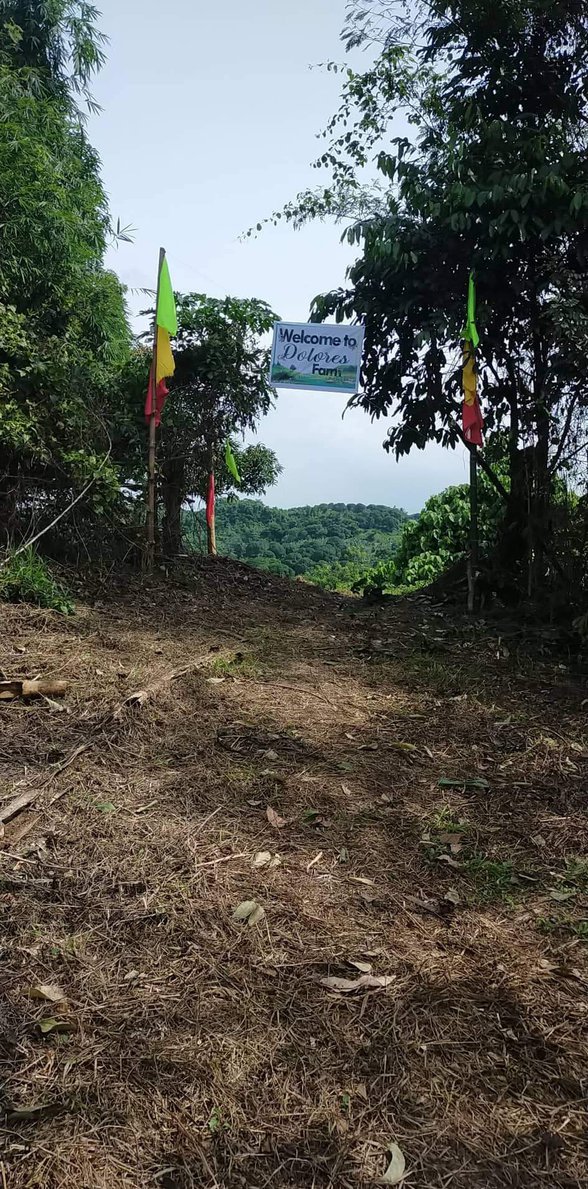 Mini Palawan Norzagaray Bulacan [5,221 Properties] (March 2024) on ...