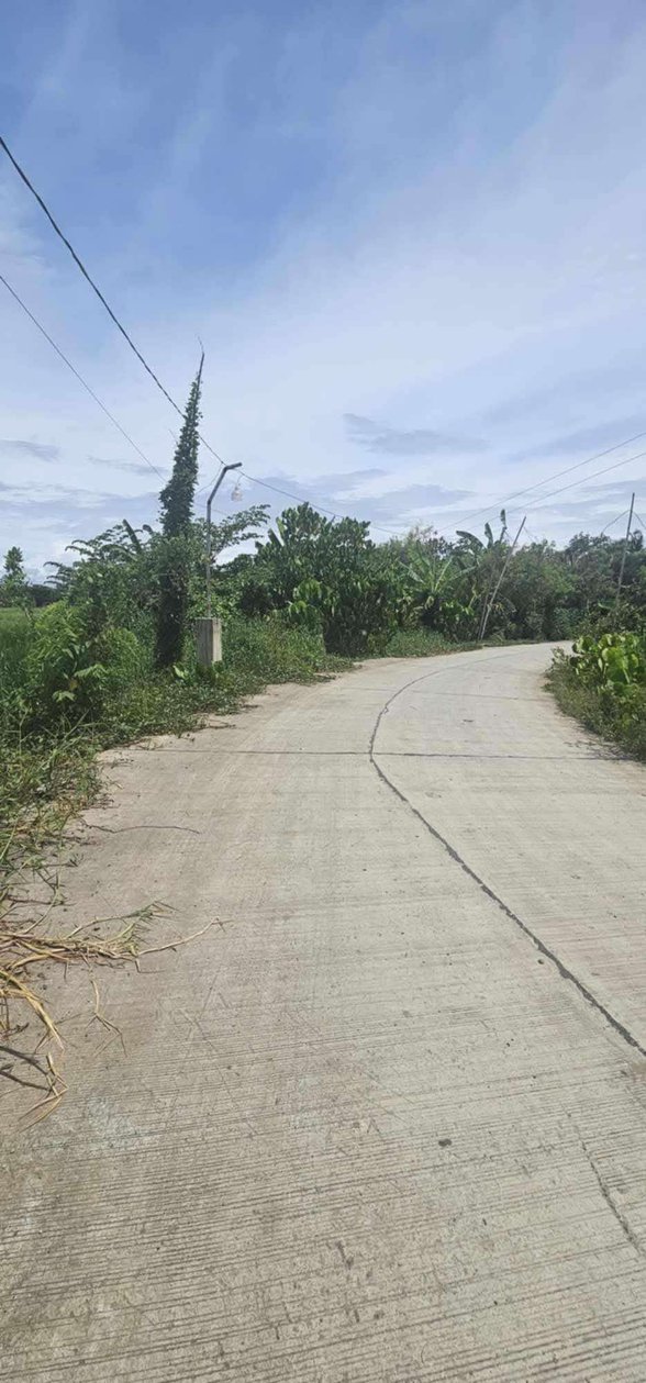 Affordable Lot For Sale Iloilo City Iloilo [17 Properties] (April 2025 ...