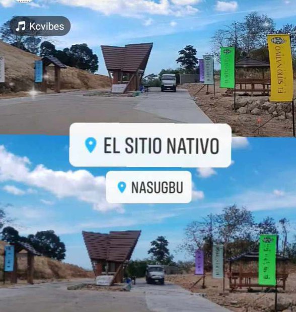 El Nativo [536 Properties] (March 2024) on OnePropertee.com