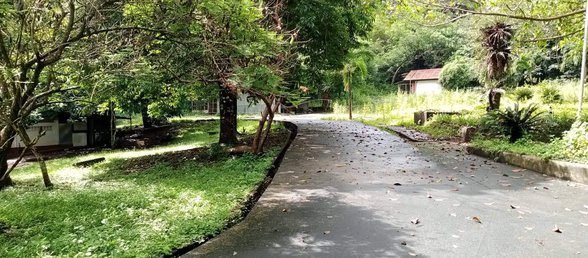 Foreclosed Farm Lot For Sale Tanay Rizal [43 Properties] (January 2025 ...