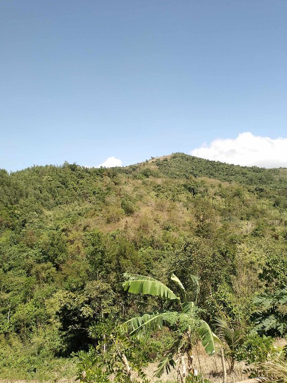 With Cloa Title Properties For Sale Philippines [14,770 Properties ...