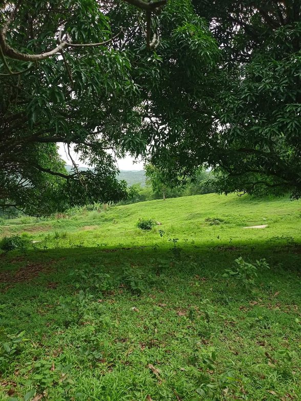 Barangay Bitungol Norzagaray Bulacan [13,602 Properties] (January 2024 ...