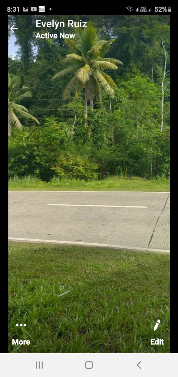 Barobo Tree [3,220 Properties] (July 2025) on OnePropertee.com