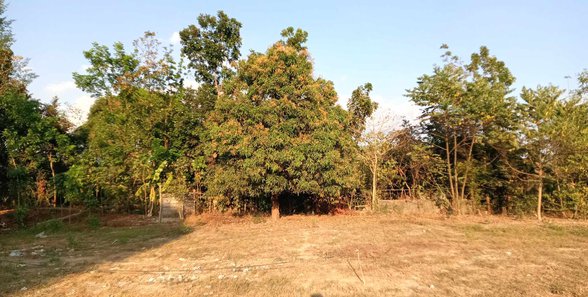 How Big Is 600 Sqm [36,997 Properties] (April 2025) on OnePropertee.com