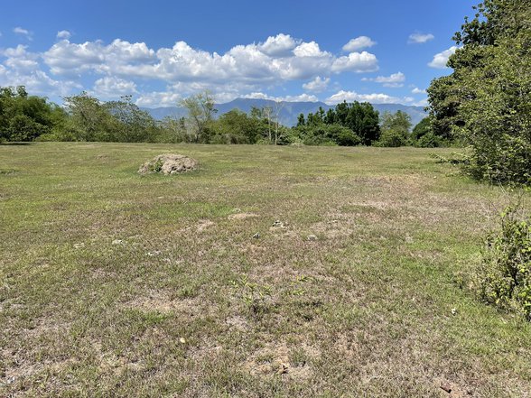 Foreclosed Farm Lot For Sale Pangasinan [399 Properties] (December 2024 ...
