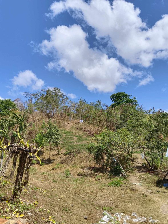 Cuyambay Lot For Sale Tanay Rizal [34 Properties] (September 2025) on ...