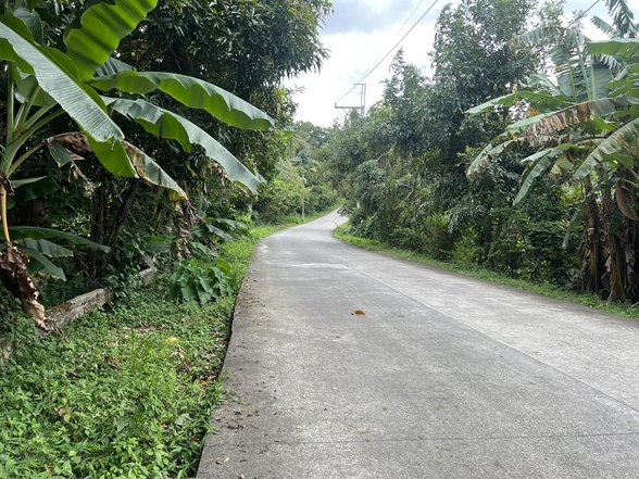 Clean Fuel Pasig Photos [14,195 Properties] (April 2024) on ...