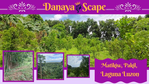 Residential Farm For Sale Pakil Laguna [79 Properties] (January 2025 ...