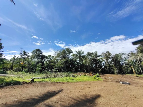 1 Box Of Alfonso Light Price Philippines [49,270 Properties] (March ...