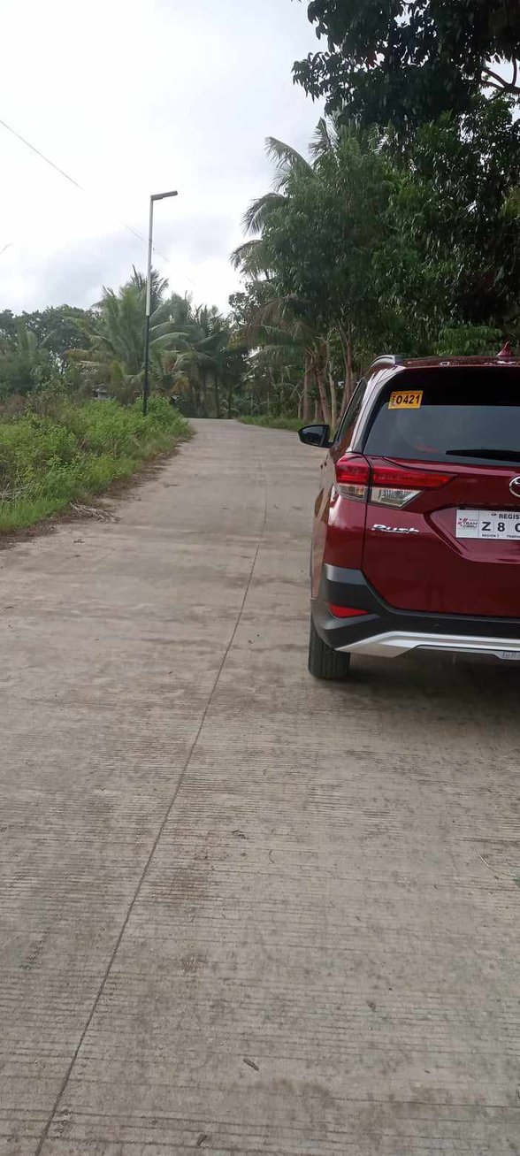 Residential Farm For Sale Alcantara Cebu [135 Properties] (February ...