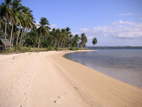 Berong Quezon Palawan [1 Property] (September 2021) on OnePropertee.com