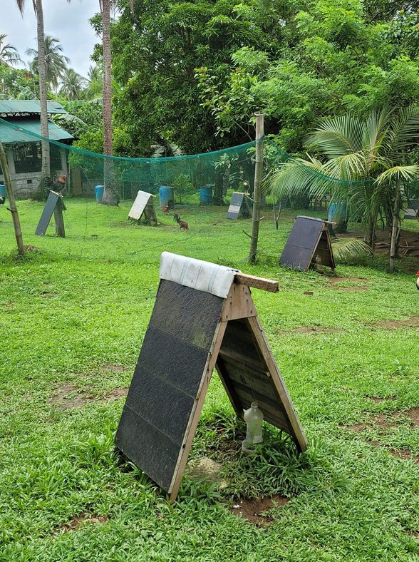 Gamefowl Teepee [2 Properties] (September 2022) on OnePropertee.com