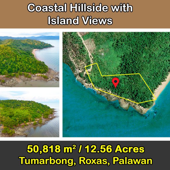 Beatriz Tower Roxas City [11,746 Properties] (September 2025) on ...