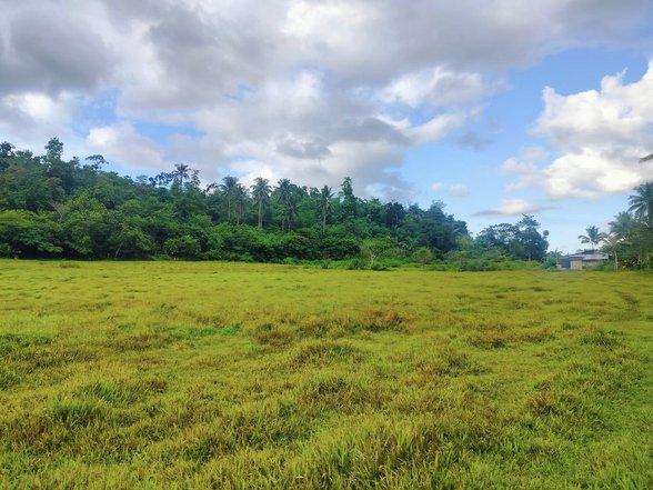 How Big Is 2 5 Hectares [31,583 Properties] (March 2024) on ...