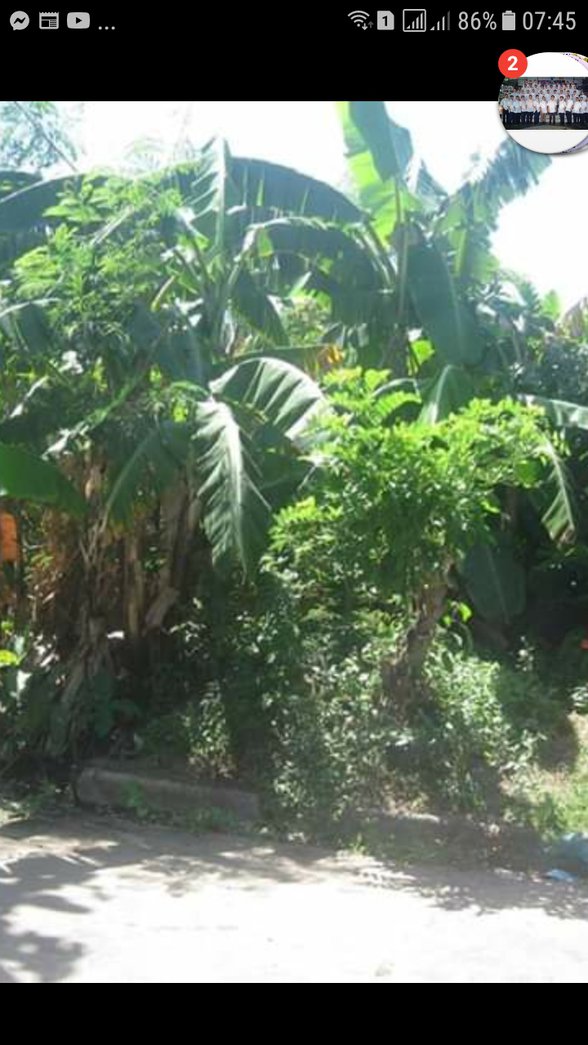 Cavite Hot Spring Photos [9,940 Properties] (June 2023) on OnePropertee.com