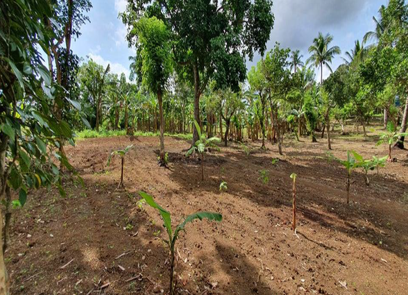 1 Hectare Land For Sale 🚜 [45 Properties] (September 2022) on ...