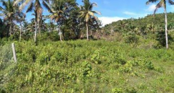 Corazon Marimar Philippines [11,797 Properties] (August 2023) on ...