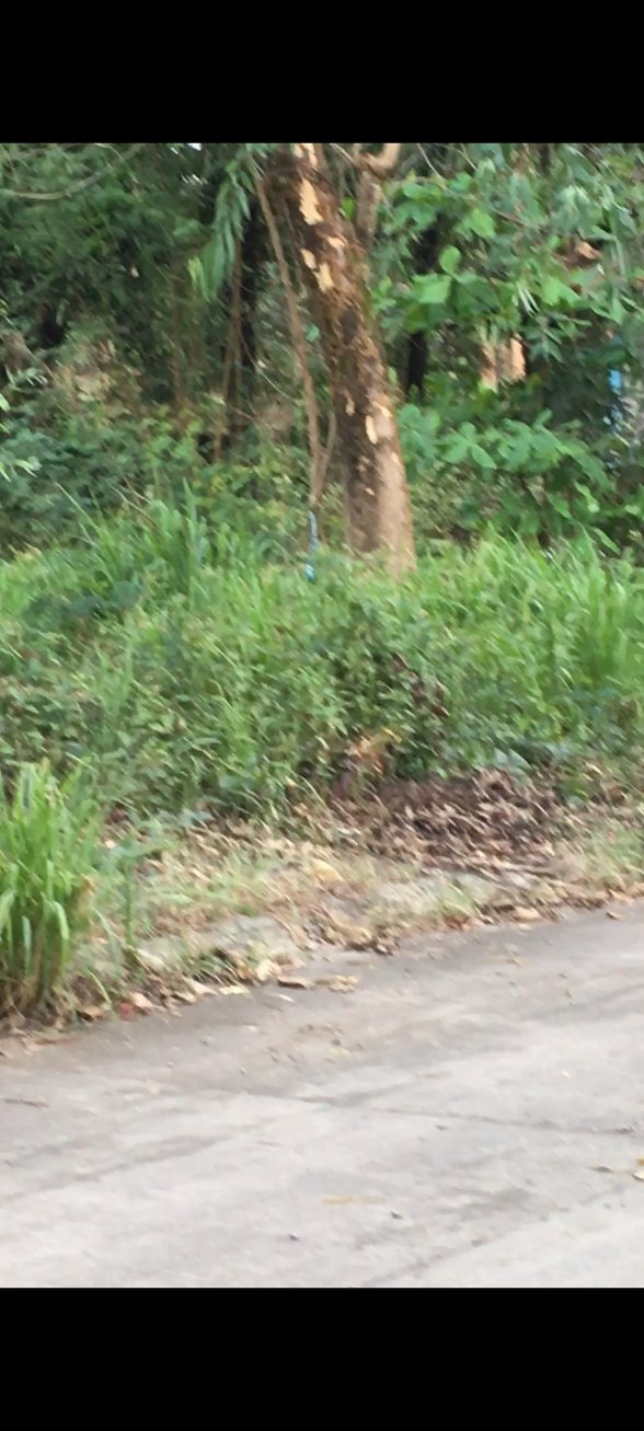 Darangan Binangonan Rizal Properties [25 Properties] (February 2022) on ...