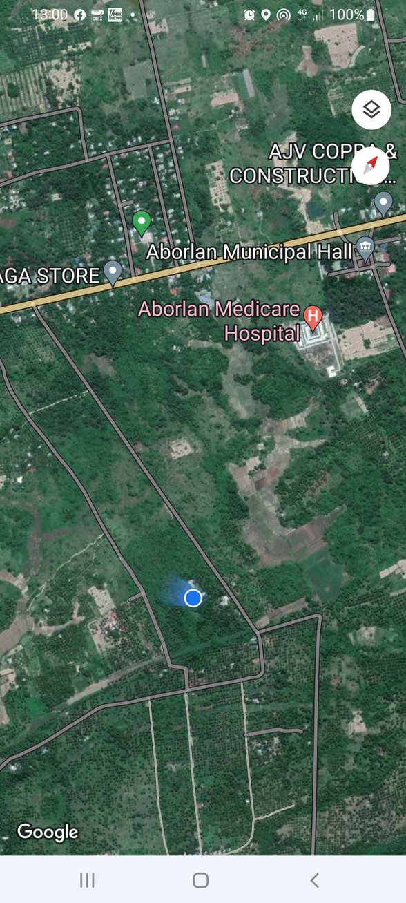 Residential Farm Lot For Sale Aborlan Palawan 🚜 [15 Properties ...