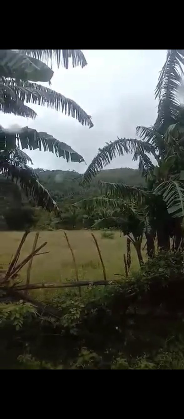 Fami Hair Color [718 Properties] (September 2025) on OnePropertee.com