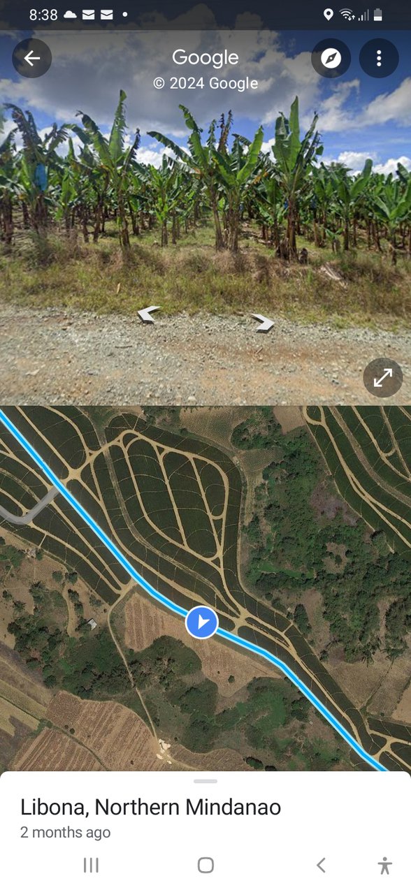 Commercial Property For Sale Libona Bukidnon [8 Properties] (July 2024 ...