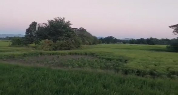 1 Hectare Lot For Sale Bulacan [1,344 Properties] (November 2024) on ...