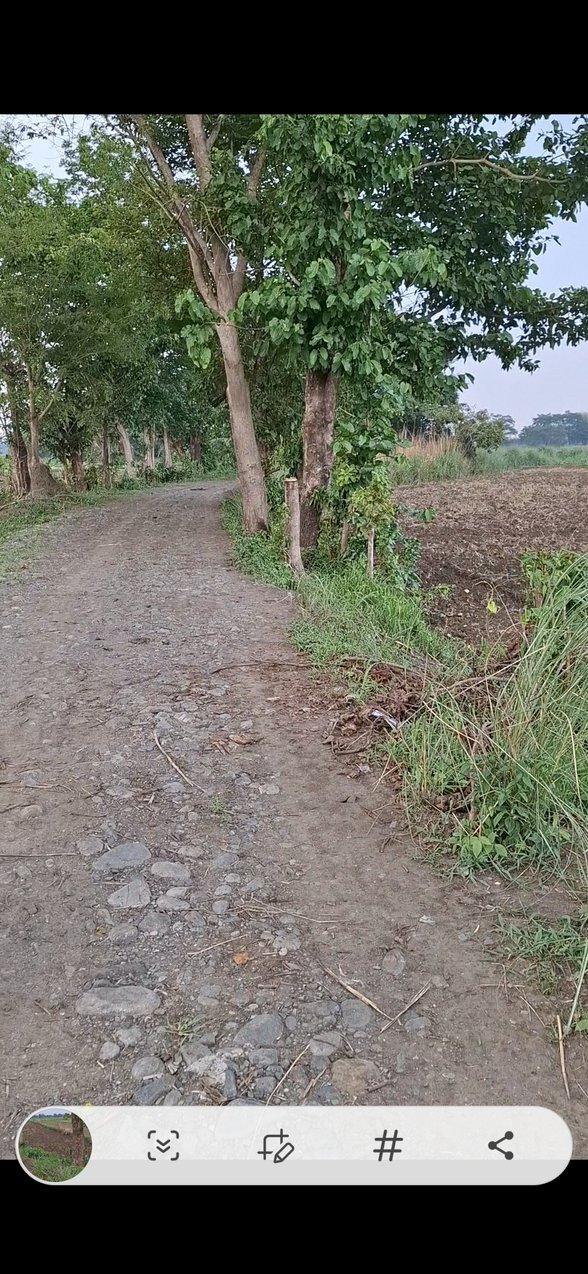 10 Hectares Lot For Sale Philippines [13,052 Properties] (February 2025 ...