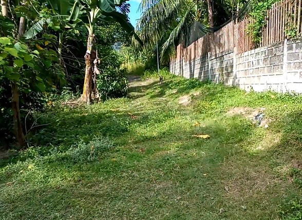 Lumbatan Lanao Del Sur Properties [46,490 Properties] (June 2025) on ...