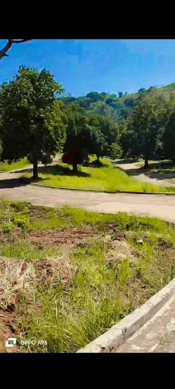 Loremar Grand Homes Lot For Sale Antipolo Rizal [2,048 Properties ...
