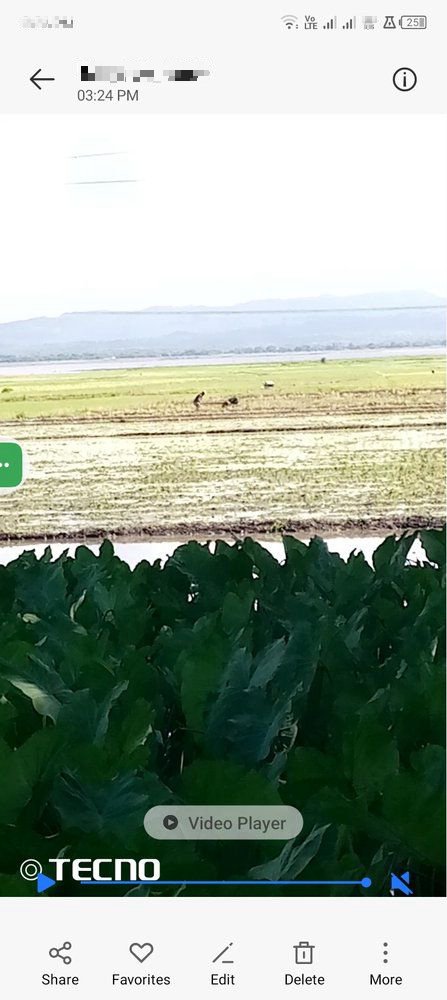 Farm Lot For Sale Baao Camarines Sur [27 Properties] (December 2025) on ...