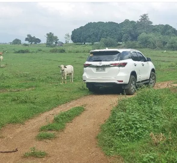 Farm Lot For Sale Umingan Pangasinan [37 Properties] (June 2026) on ...