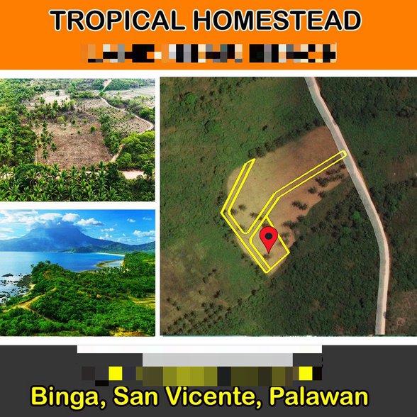 Binga House And Lot For Sale San Vicente Palawan [7 Properties ...