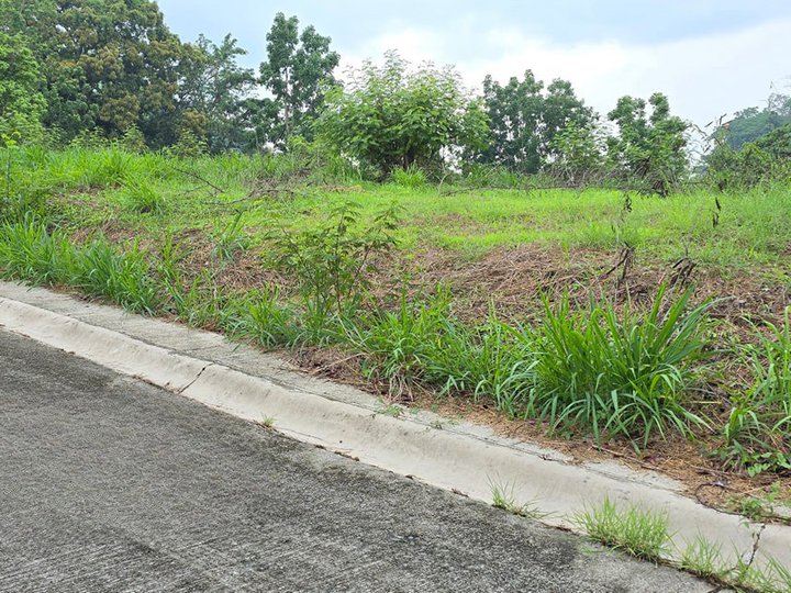 Premium residential lot for Sale in Filinvest's Southwind, San Pedro ...