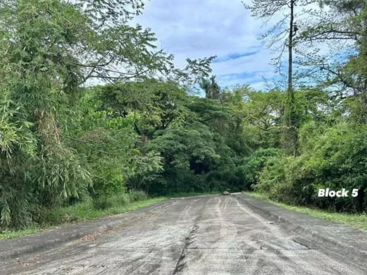 Spacious Residential Lot for Sale in Angono, Rizal: The Grove Havila ...