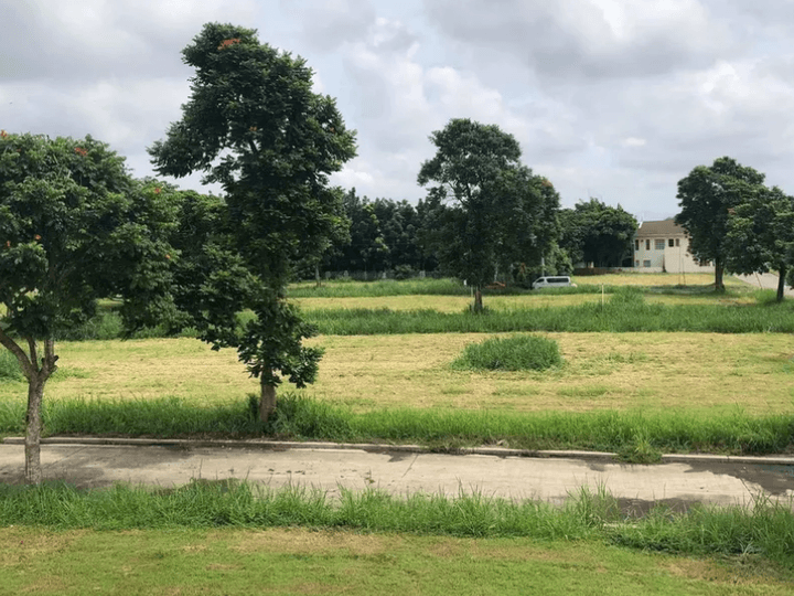 Large 256 Square Meter Lot Available in Calamba, Laguna [Lots 🚜] (May ...