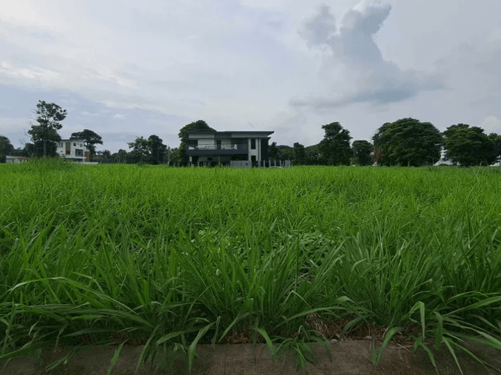 203 sqm Residential Lot for Sale in Calamba, Laguna [Lots 🚜] (December 2025) in Calamba, Laguna ...