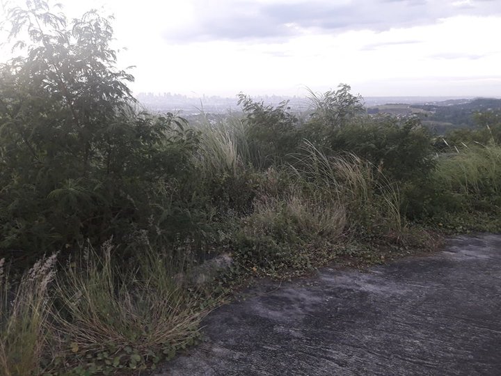 RESIDENTIAL LOT FOR SALE in EASTRIDGE Subdivision [Lot 🚜] (February ...