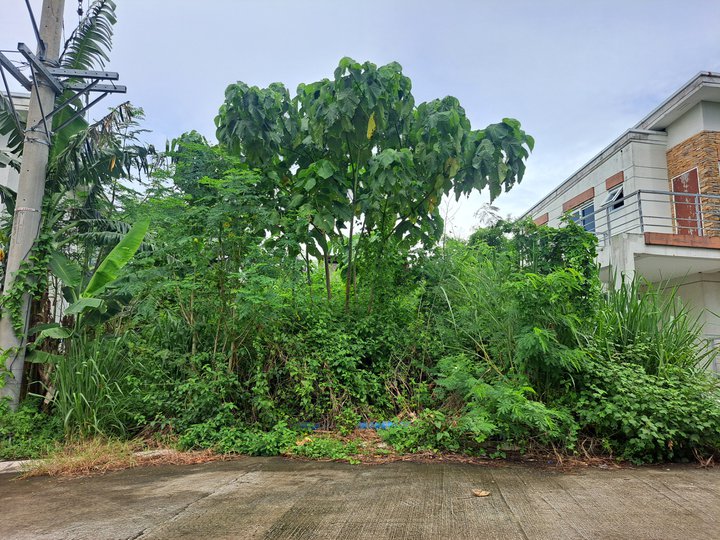 85 sqm. Residential Lot for Sale - Canyon Ranch Subdivision, Carmona ...