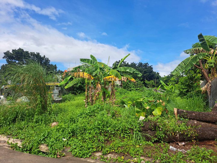 408 sqm. Lot for Sale in Villa Vienna, Neopolitan 1B Quezon City near ...