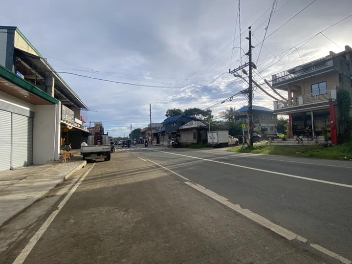 FOR SALE: PRIME COMMERCIAL LOT NEAR JULIANA WET & DRY MARKET, BRGY ...