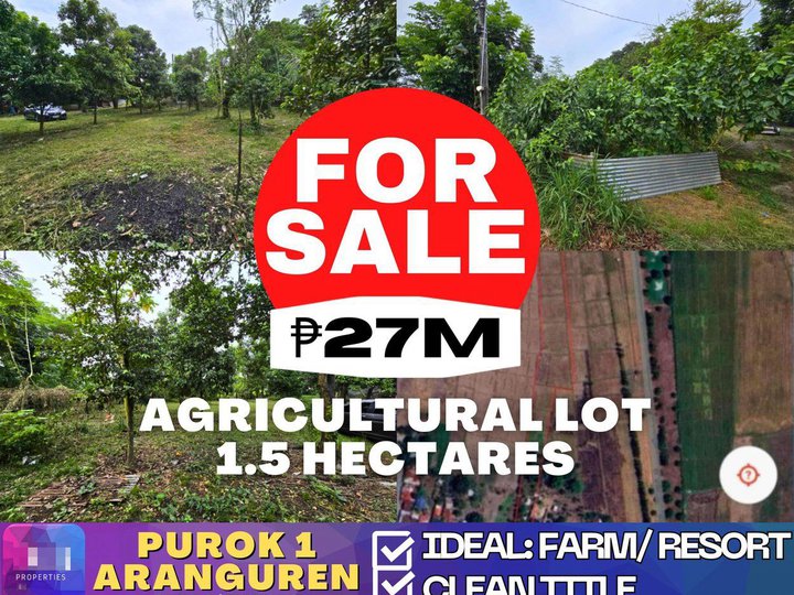 1.5 hectares Farm Lot For Sale in Capas Tarlac [Lots 🚜] (May 2026) in ...