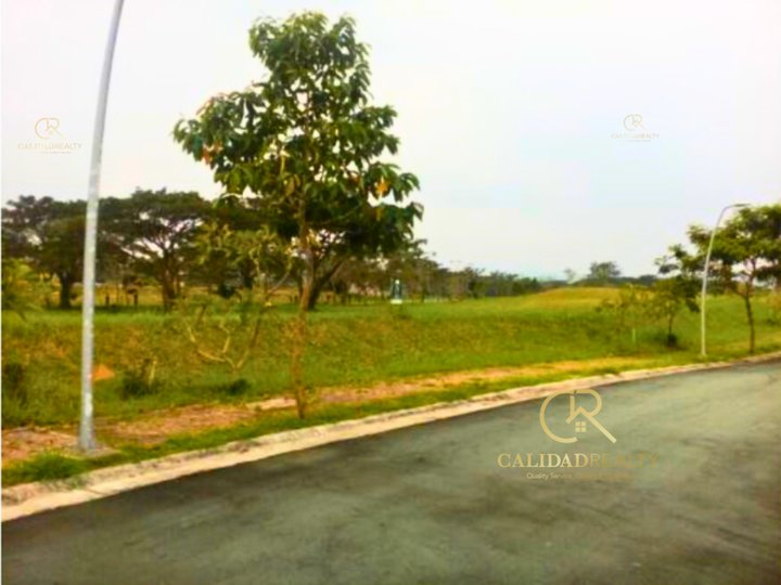 Elaro Nuvali Residential Lot For Sale Santa Rosa Laguna - CRS0297 [Lots ...