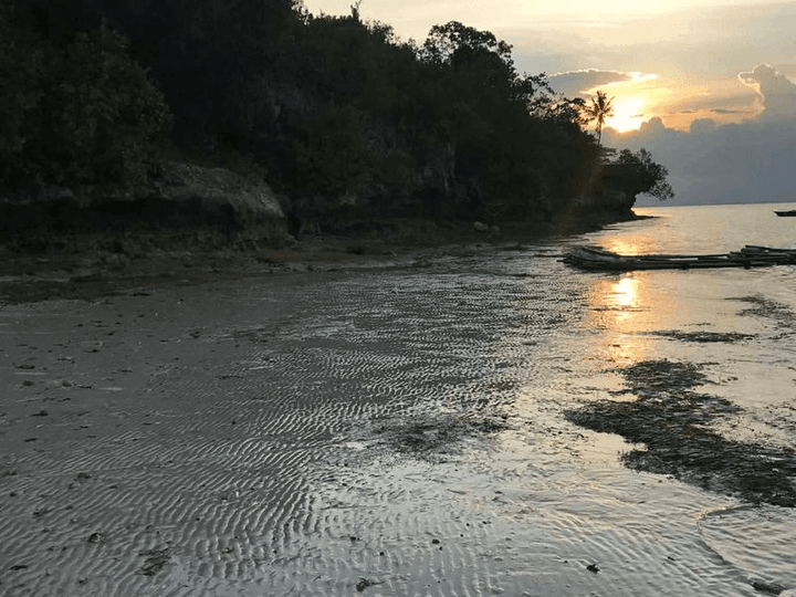 PRIME BEACHFRONT LAND | PANGLAO ISLAND, BOHOL [Lots 🚜] (January 2026 ...