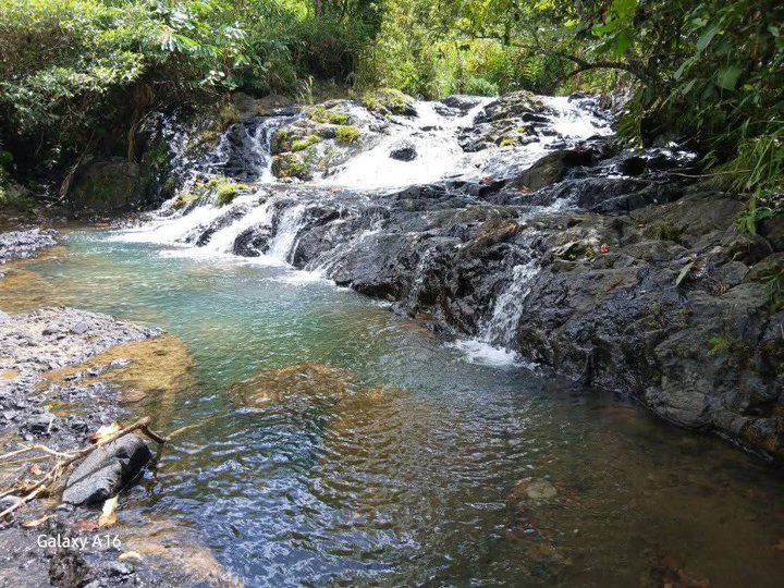 16 hectares farm lot with water falls [Lots 🚜] (December 2025) in ...