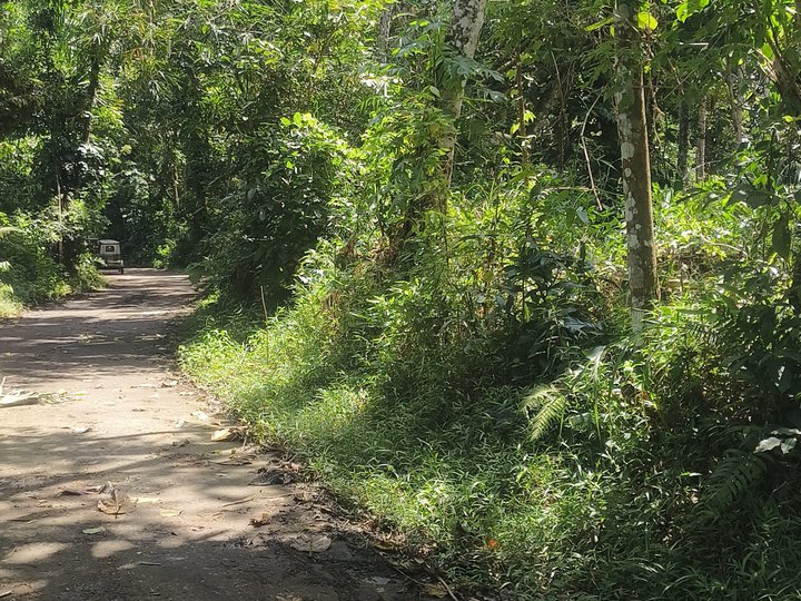 Residential farm lot [Lots 🚜] (October 2025) in Cavinti, Laguna for sale