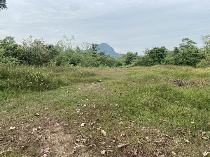 1.9 hectares Farm Lot For Sale in Santa Ignacia Tarlac [Lots 🚜] (May ...