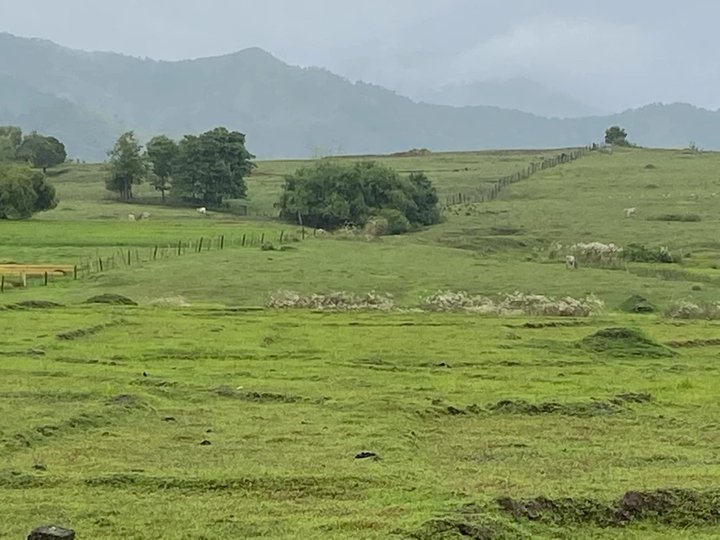 4 hectares Farm Lot For Sale in Mayantoc Tarlac [Lots 🚜] (March 2026 ...