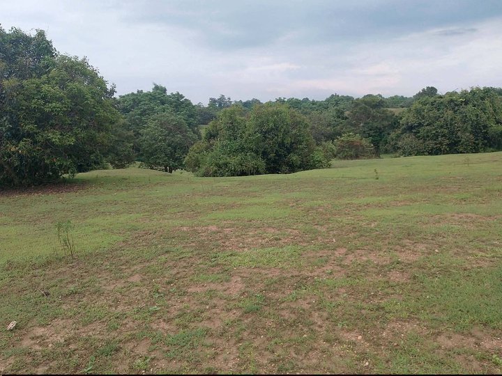 9.5 hectares Farm Lot For Sale in Cuyapo Nueva Ecija [Lots 🚜] (March ...